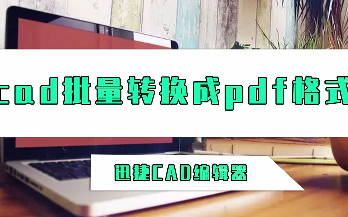 CAD怎么批量转换成PDF格式?这招PDF转CAD你一定要学