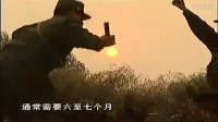 宠物狗身上痒用什么药-阿拉斯加咬陌生人