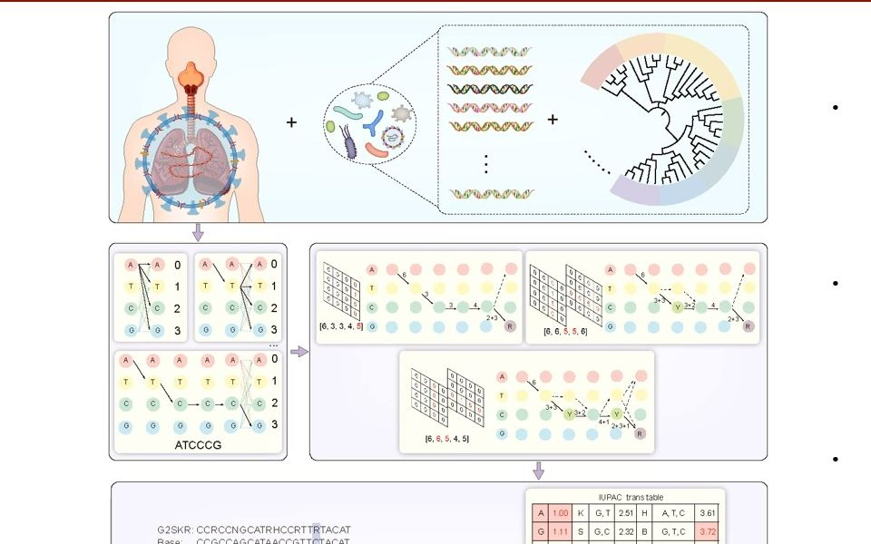 iMeta | multiPrime:一款可靠、高效的靶向测序工具