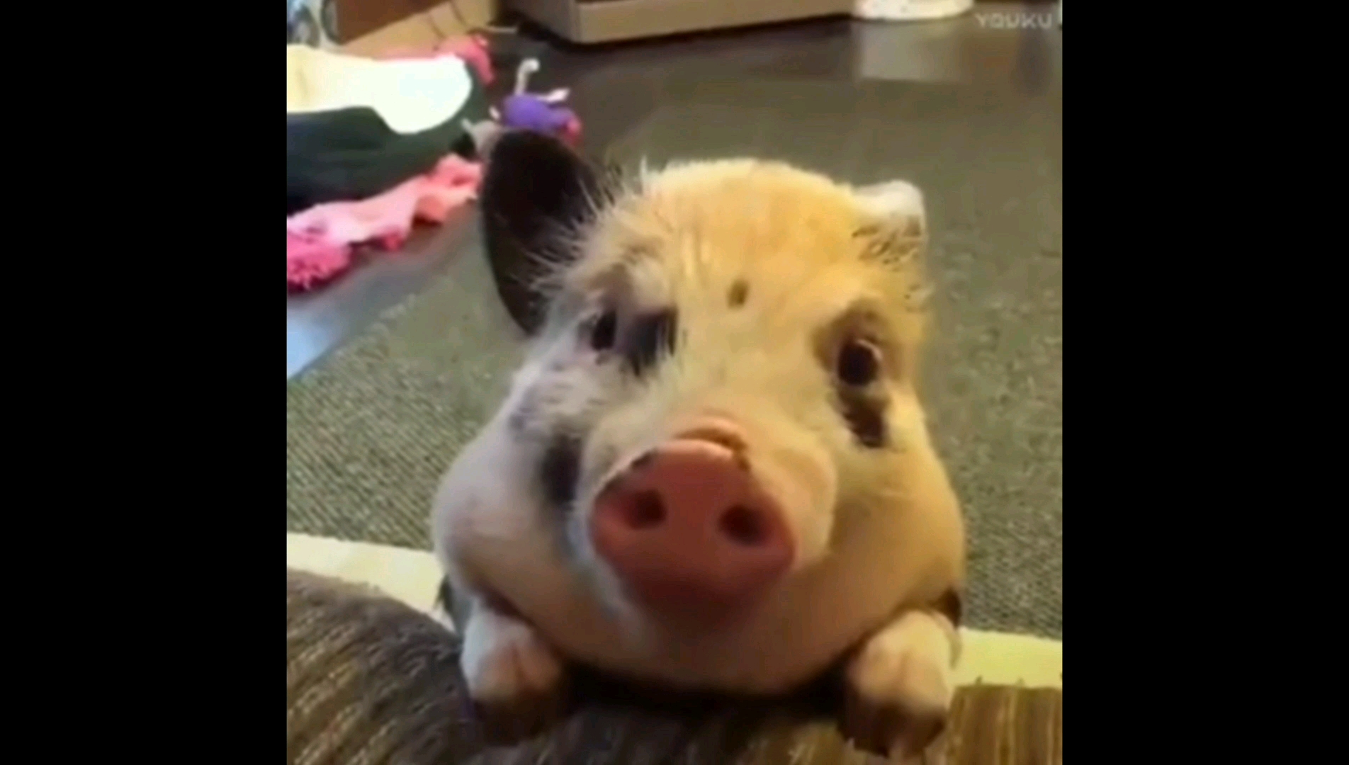 第一次剪视频,送给22岁的你