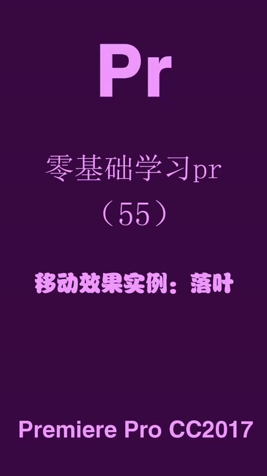 #零基础学pr 【移动效果实例:落叶】#pr教程