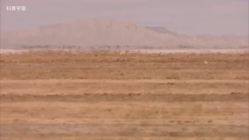 非常实用的一款水质检测笔。探索物理