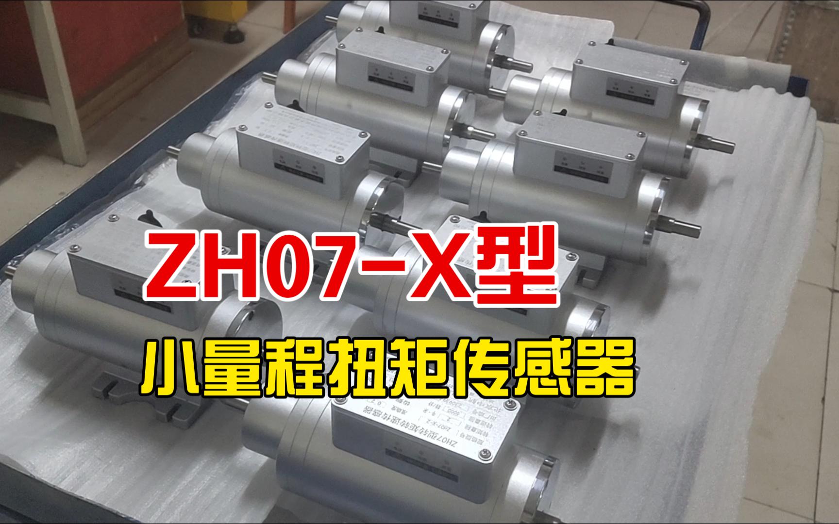 ZH07-X小量程扭矩传感器