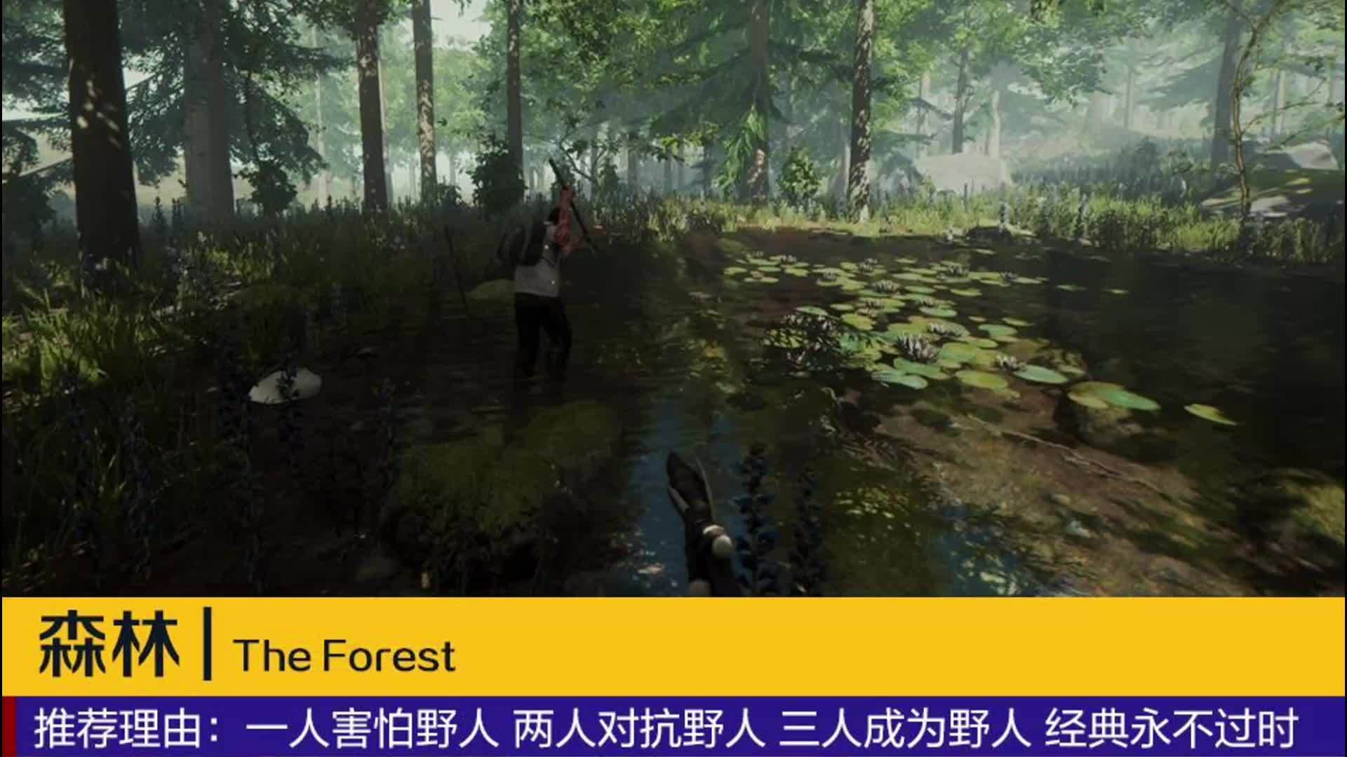 Steam游戏推荐:《森林》经典永不过时