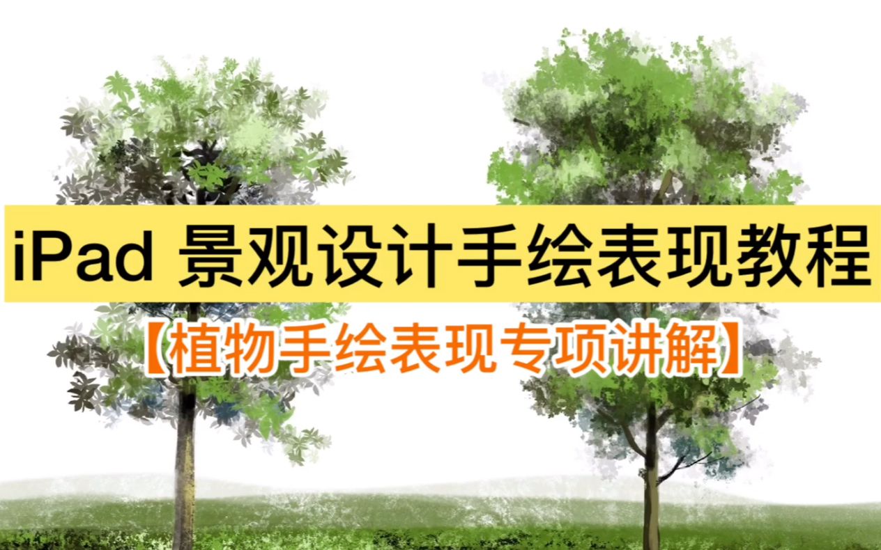 【iPad 植物手绘专项讲解】园林景观手绘系列教程 procreate手绘