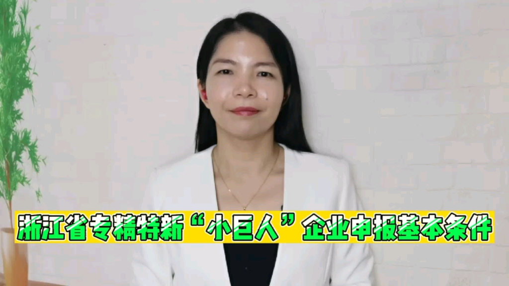 浙江省专精特新“小巨人”企业申报基本条件