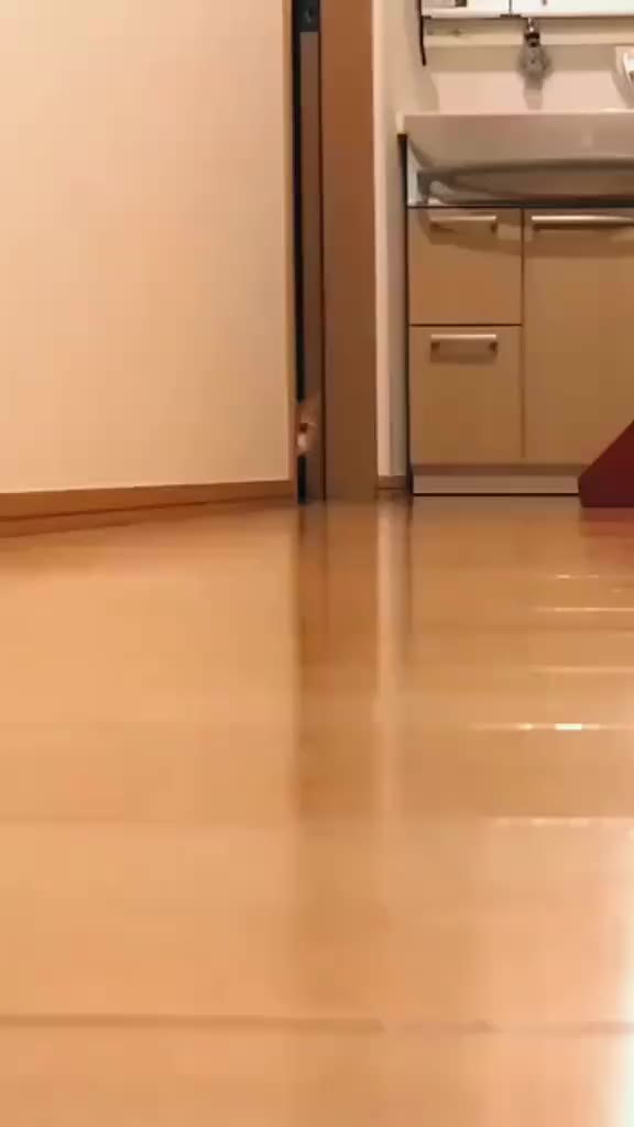 我终于知道噔噔蹬蹬地跑是怎么跑了
