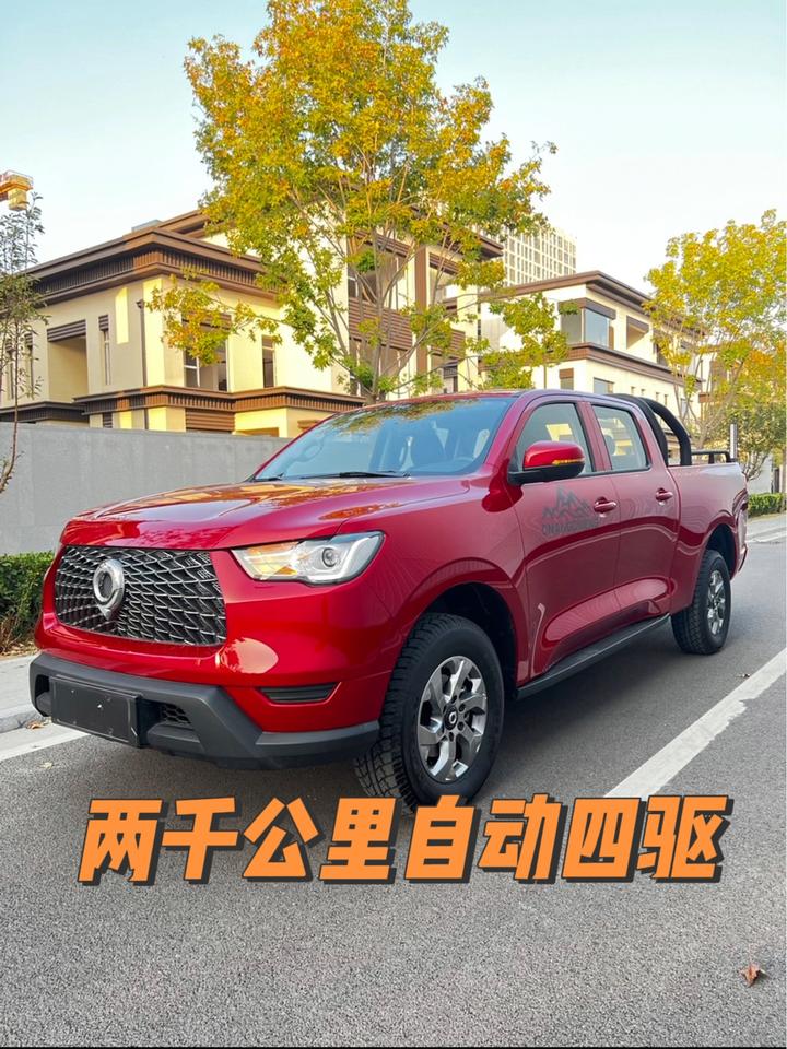 2023年上牌长城炮,商用版柴油四驱自动挡,2000公里准新车,12.多米...