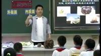 小学四年级美术《材质的美》课堂实录(小学美术优秀课例选录)