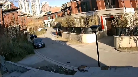 ##找狗团队##德州寻狗##山东找狗团队##济南专业找狗# #柯南寻猫...