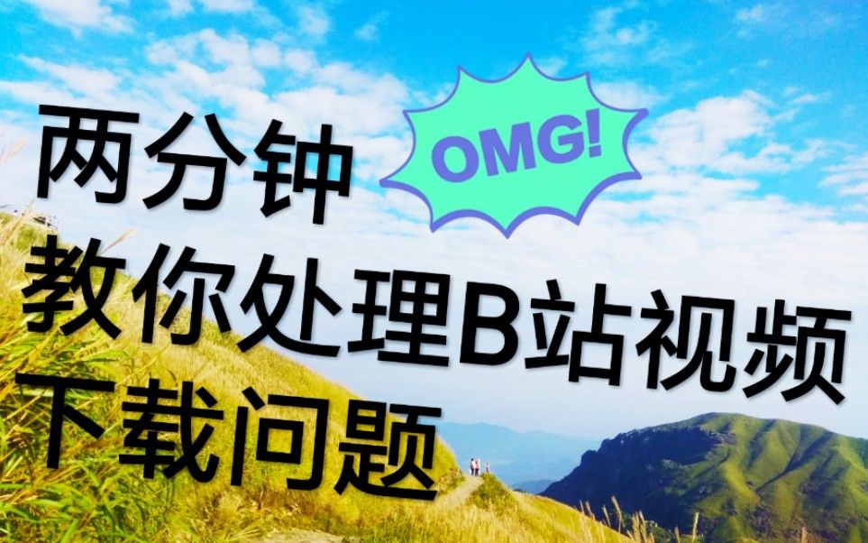 B站视频下载器使用外部IDM下载、转换MP4格式教程