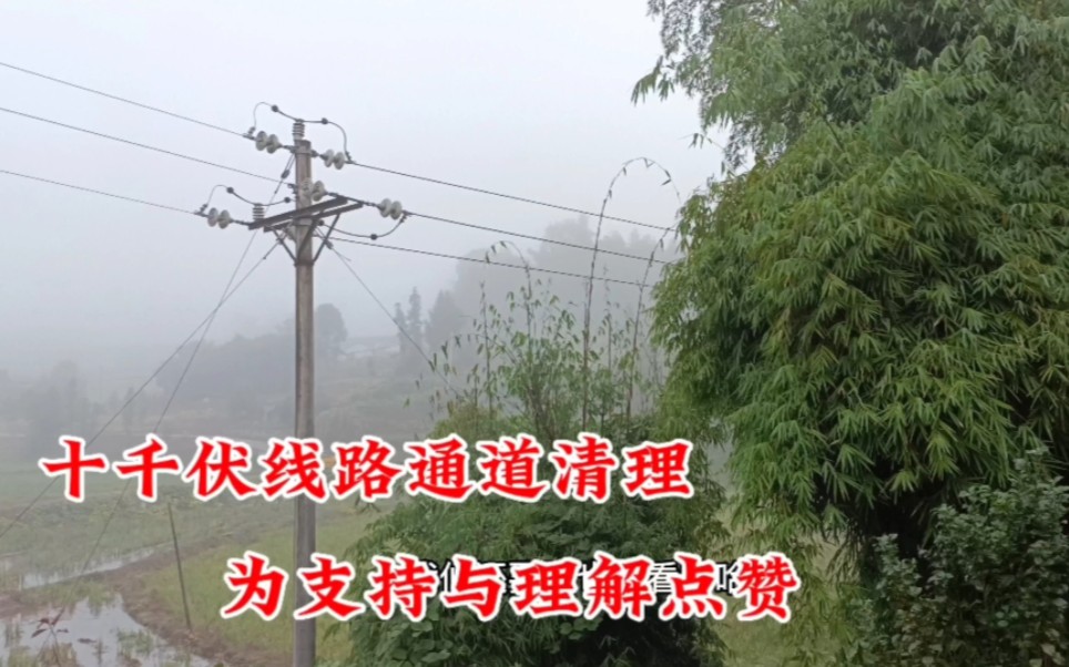 十千伏线路通道清理,为老板的支持和理解点赞。