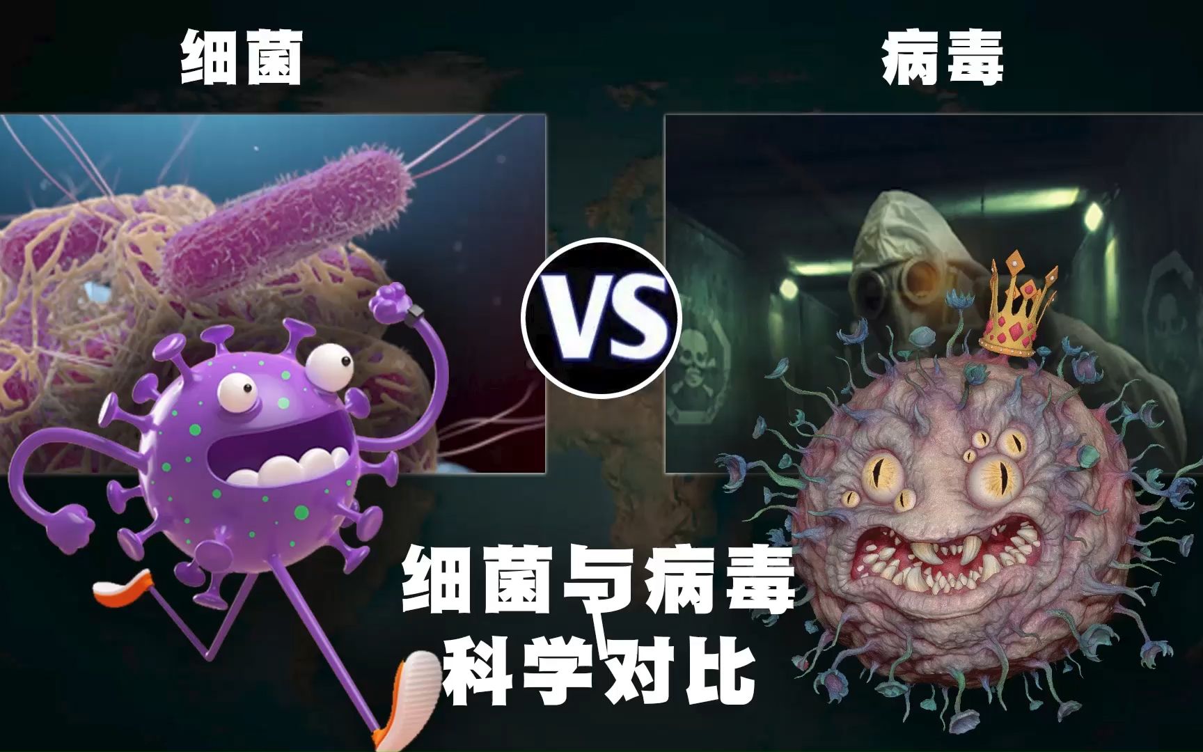 细菌与病毒的科学对比