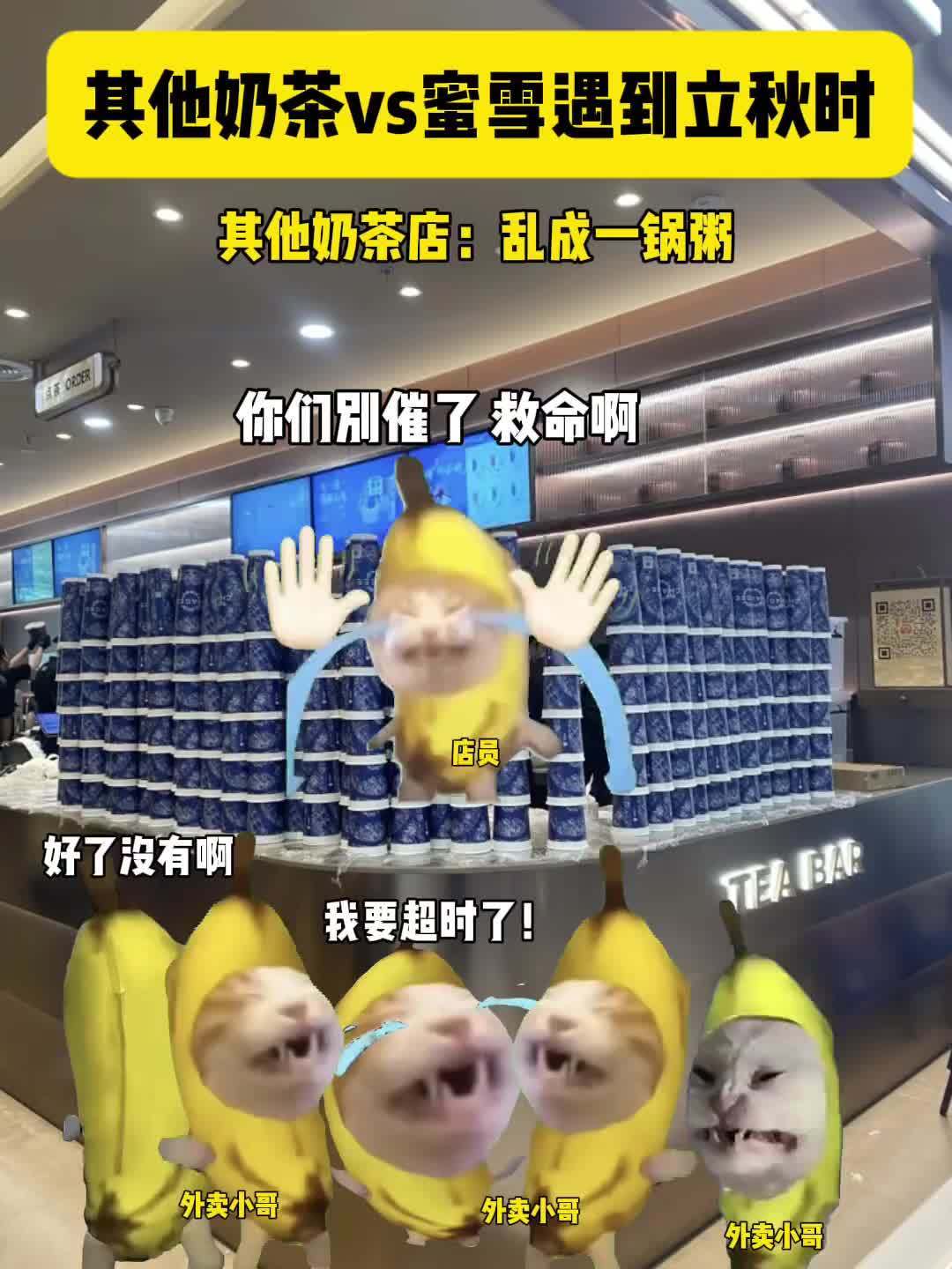 蜜雪:商战没输过没想到败给了面子