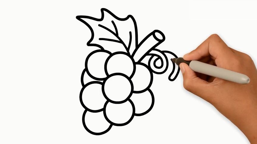 幼儿水果简笔画,学画一串葡萄的简笔画