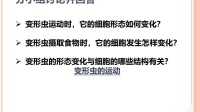 细胞是生命活动的基本单位