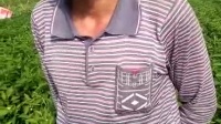 【我是天时地利 辣椒增产很简单】一亩地一茬多收700斤,一个生长周期...