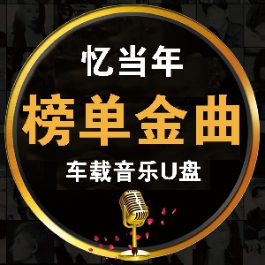 忆当年丨车载音乐U盘 