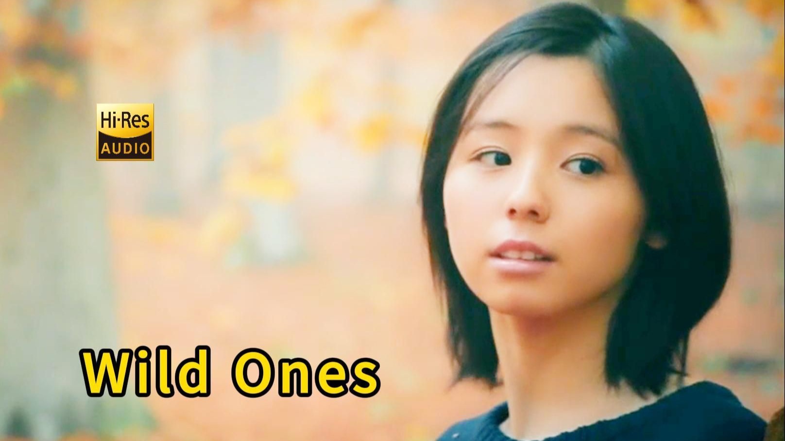 国际舞曲音乐最佳说唱 Wild Ones-Sia&Flo Rida