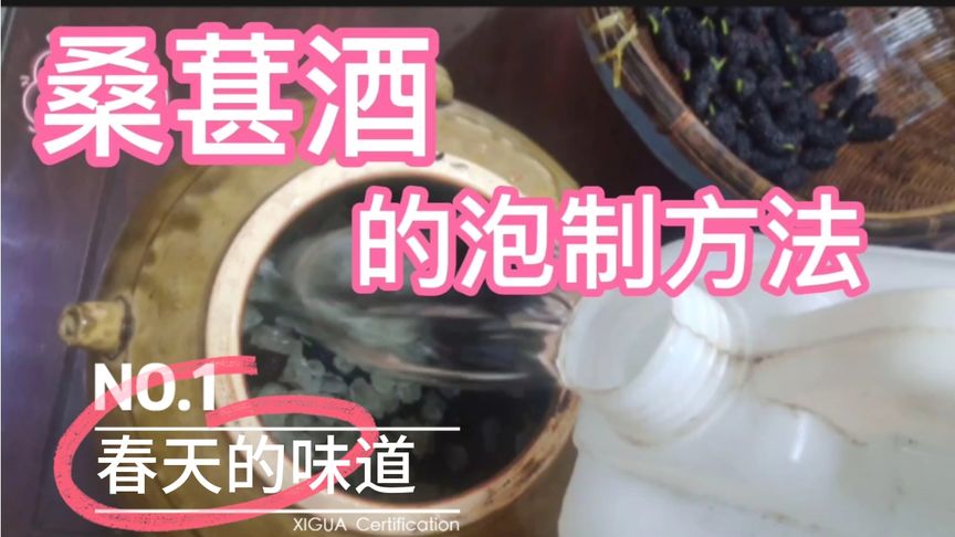 春天的味道之——桑葚酒的泡制方法