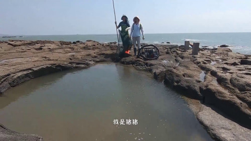 猪猪皮皮分工合作,一个抽水坑一个下海捞大虾,回家又是一顿大餐