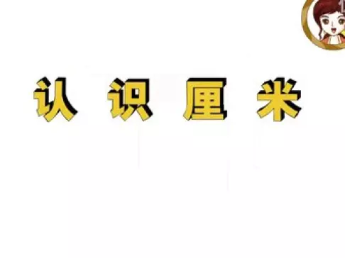 二年级数学上册 第一单元 认识厘米和米