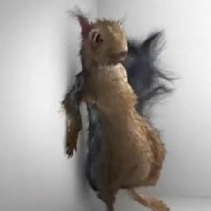 SquirrelOvO 