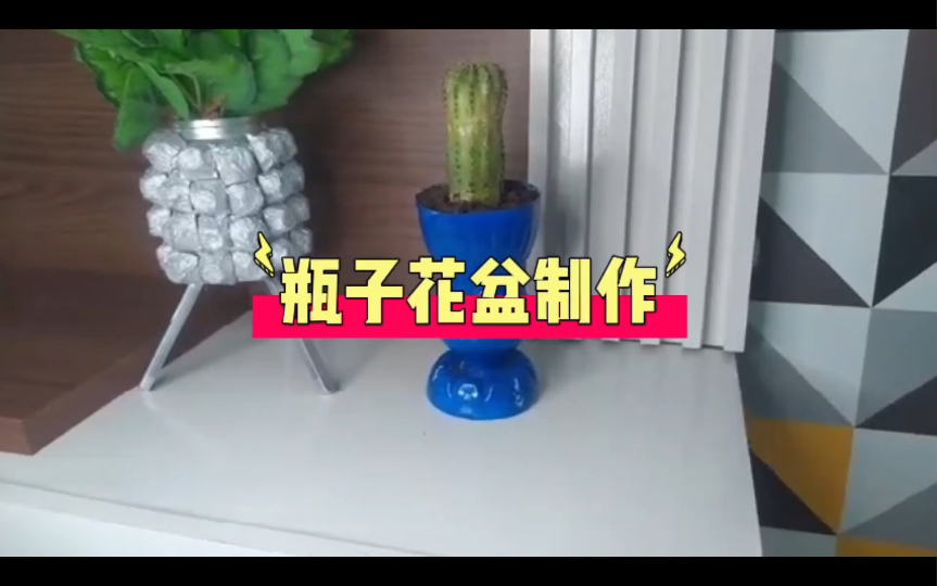 饮料瓶子改仙人掌花盆,有时间的可以自己制作试试