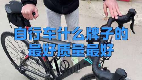 全球十大自行车品牌实测:谁才是真正的质量之王?
