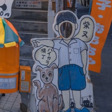 FF狒狒课程 