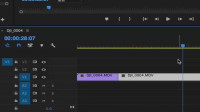 Adobe Premiere软件中,如何进行视频的裁剪和拼接?
