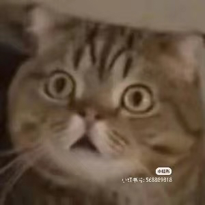 Simo狗 