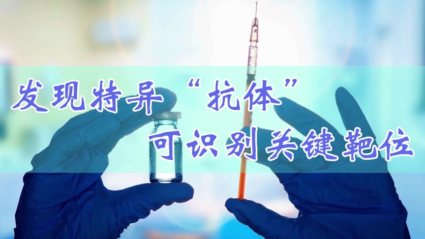 特异“抗体”发现了,可识别关键靶位,阻止新冠病毒进入人体细胞