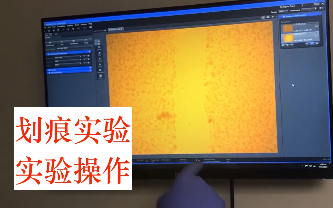 划痕实验Scratch Assay(实验操作)