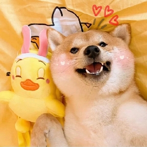匹老板修电脑 