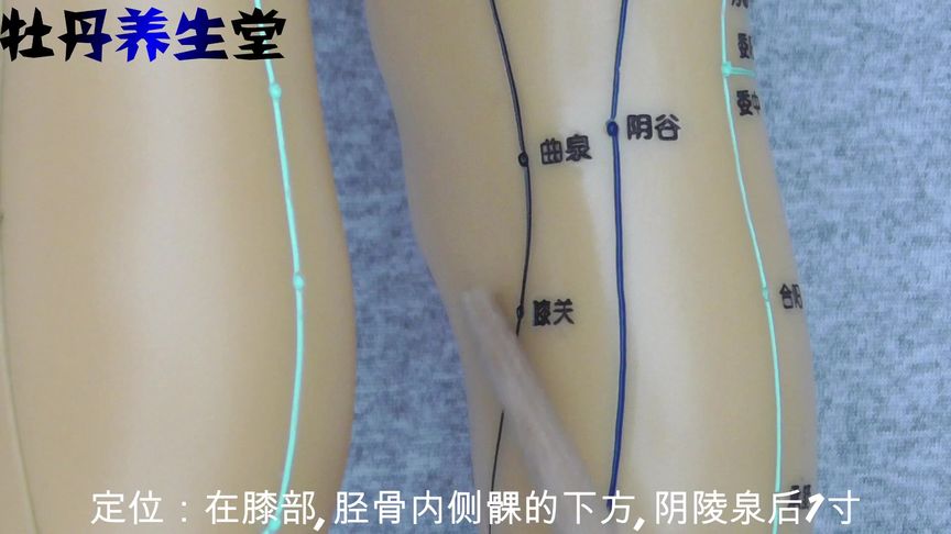 膝关功能及主治:膝髌肿痛,脚气,历节风痛,下肢痿痹