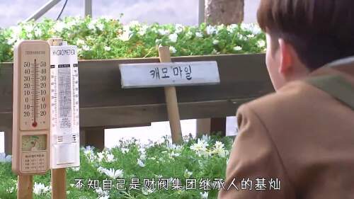 不知自己是财阀集团继承人的男人,被女友、姐姐和管家联合算计