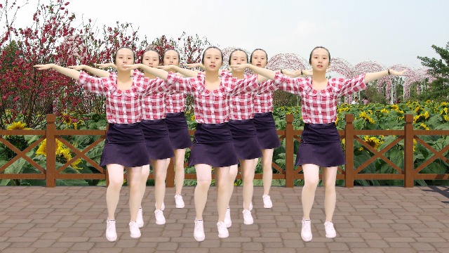 凤凰传奇《荷塘月色》广场舞版,男女老少最爱的.