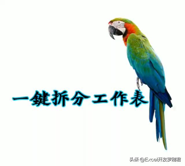 在Excel中一键拆分工作表,拆分后可以自动完成对某列汇总