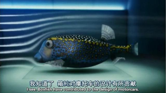 趣味发明2:神奇的仿生技术
