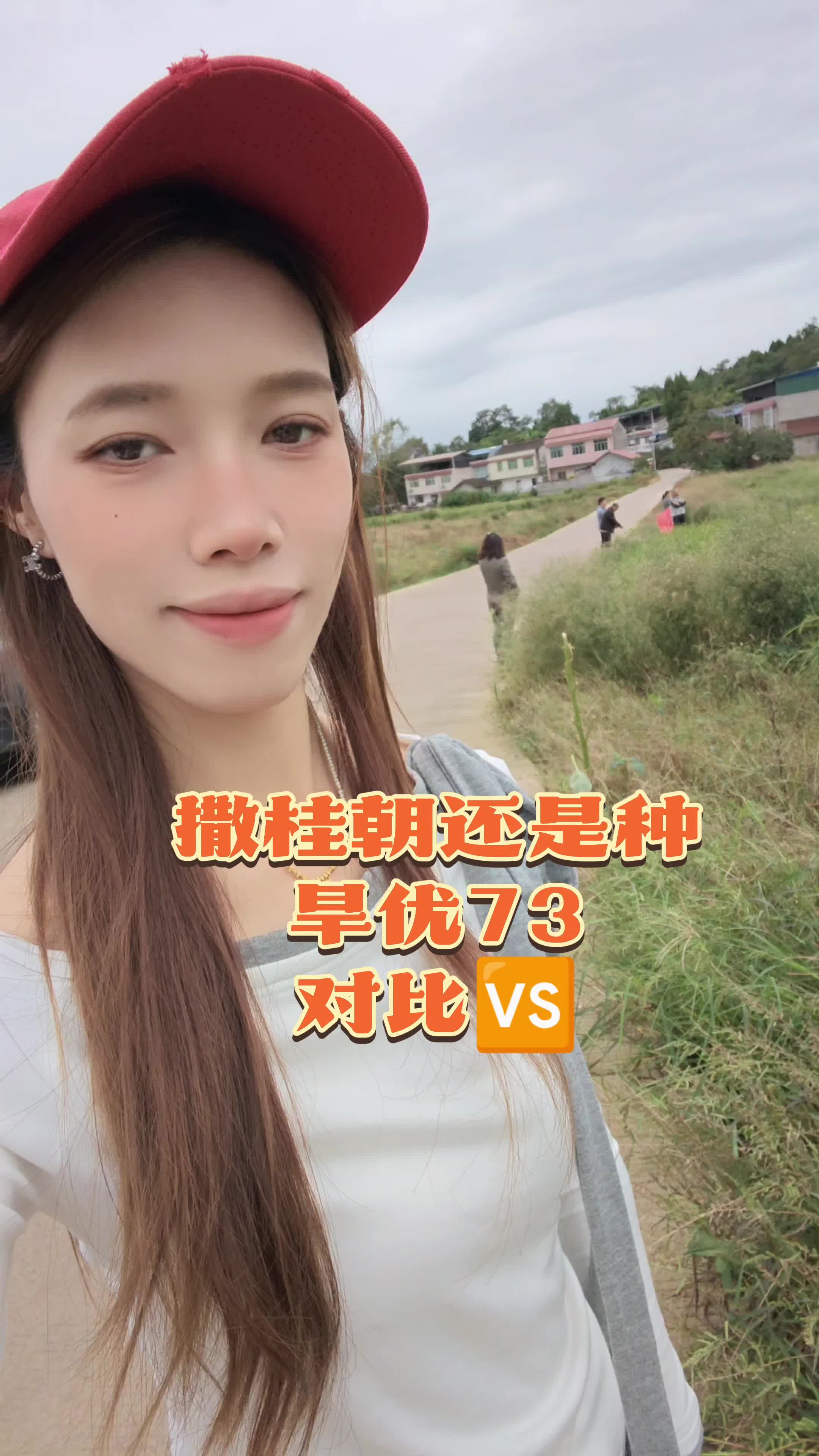 ...#水稻种植 #我的乡村生活 #乡村田野 #节水抗旱稻 都是同一时间直播,...