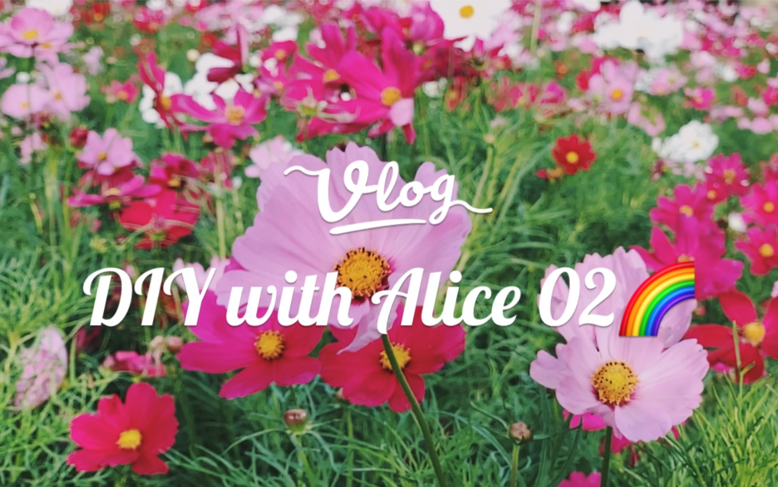 木工|Alice’s DIY Vlog|自制的电脑桌能让上班都变得有趣起来!