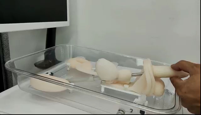 ...镜训练模拟器,进行镜下手眼协调训练,内镜下活检 ,网篮取石等操作训练