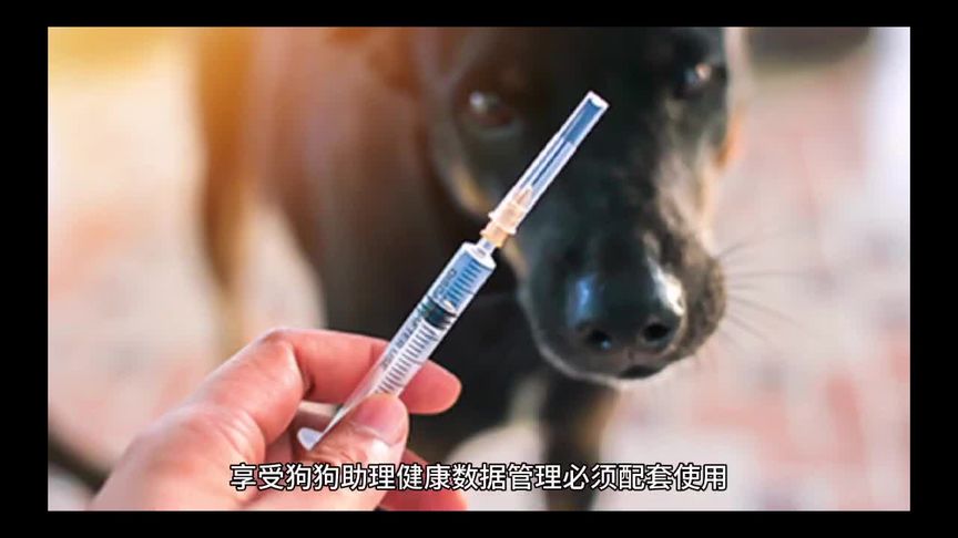 大健康最重要的是数据管理