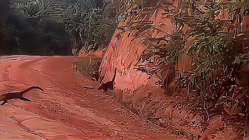 村民拍下诡异瞬间!不明生物高速掠过,形态奇特引热议