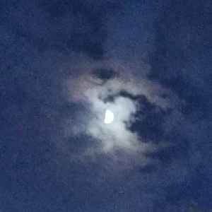 夜长数寒星 