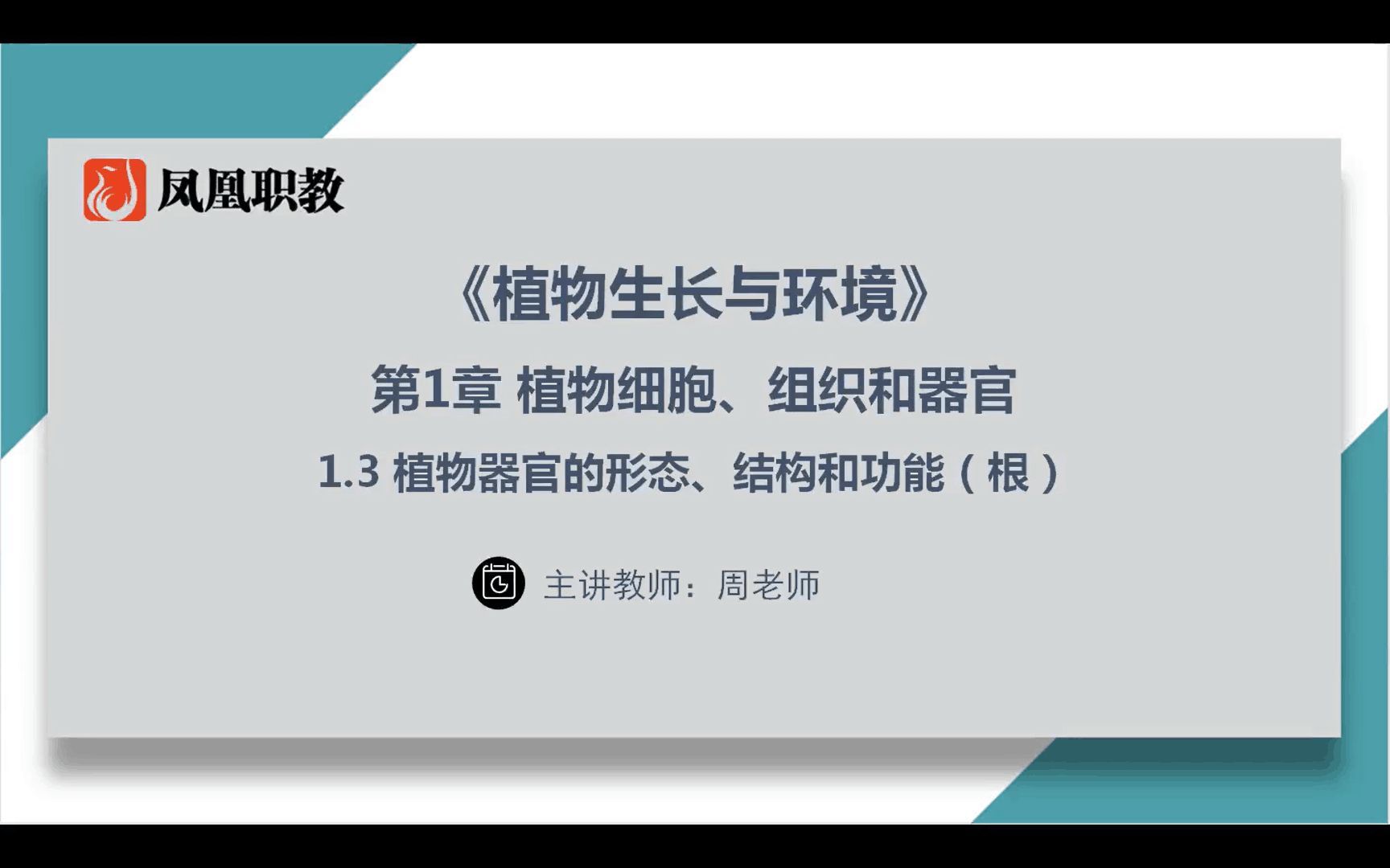 江苏专转本-农林类-植物器官的形态、结构与功能