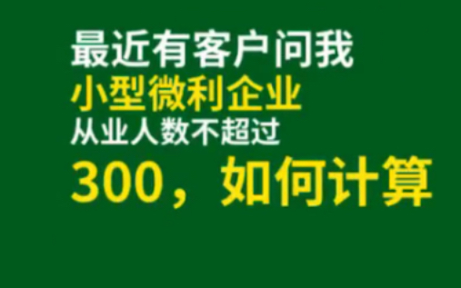 小型微利企业,从业人数不超过300,如何计算?