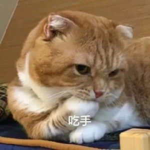 懂硬盘的热心市民 