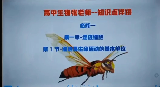 高中生物必修一第一章走进细胞第一节细胞是生命活动基本单位